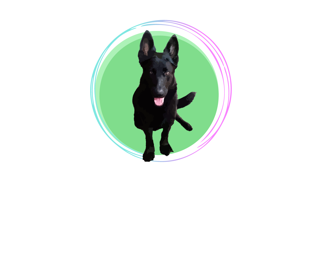 About Us SA Armato Arts